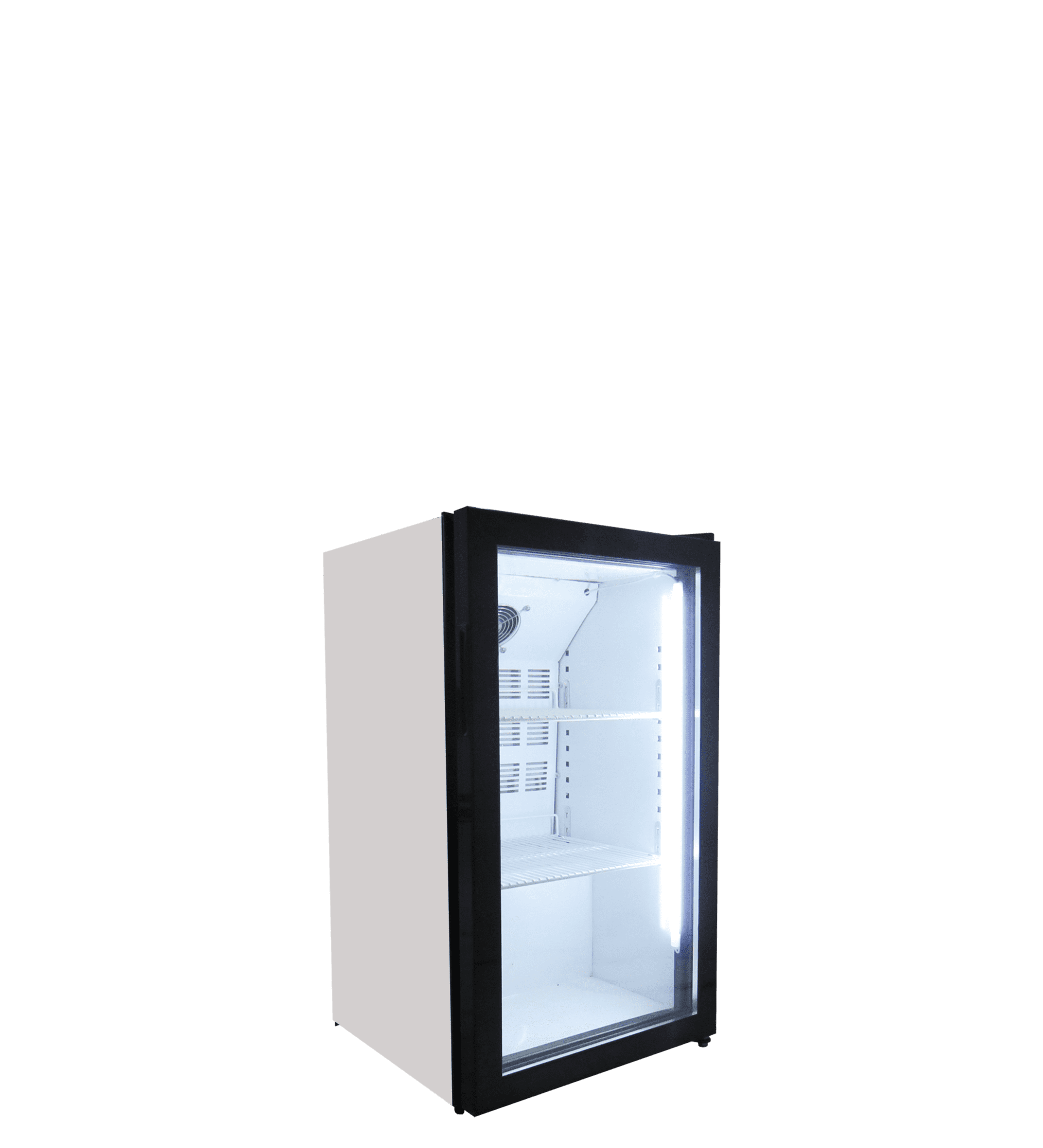 FH110 – Hinged Door Beverage Cooler | PHILLIPS AFRICA REFRIGERATION